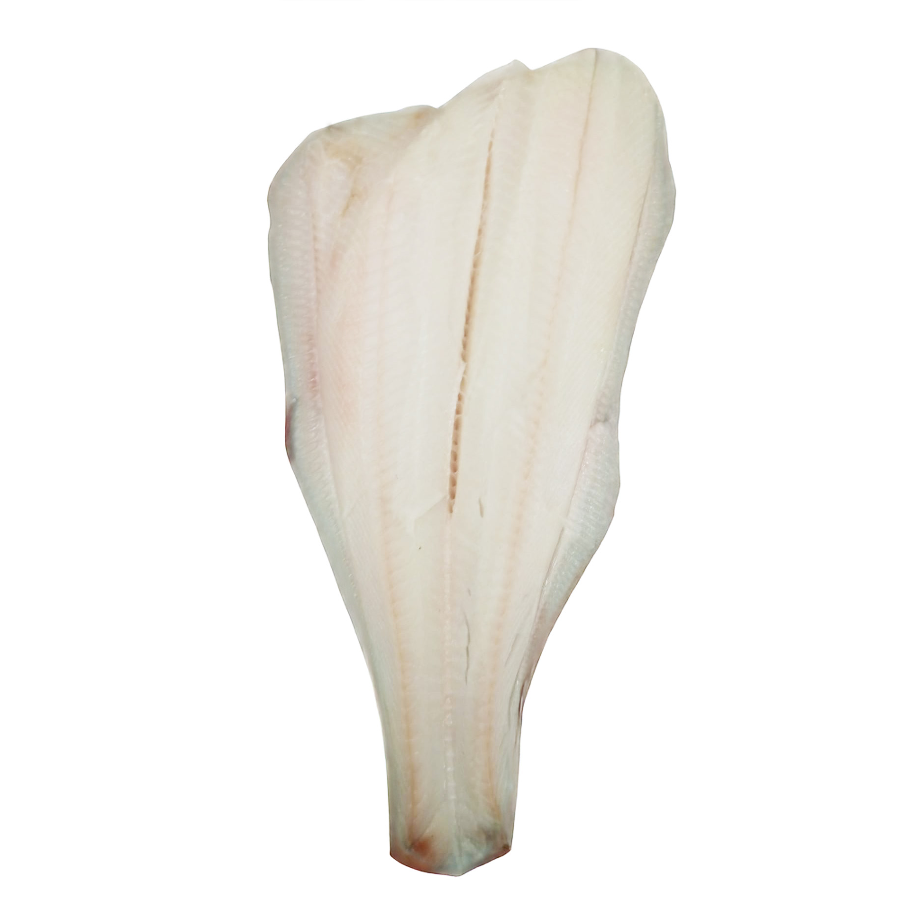 Halibut - filet - 1 kg - Smaczna Ryba